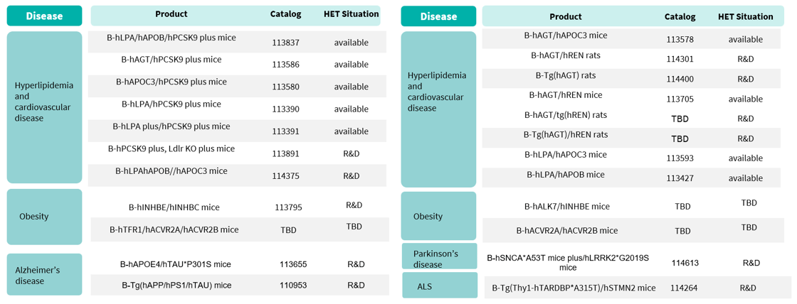Accelerating Dual-Target Small Nucleic Acid Therapeutics with Humanized ...