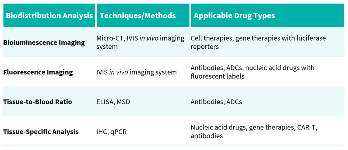 Mapping Drug Biodistribution: Tracing the Journey to Target Tissues